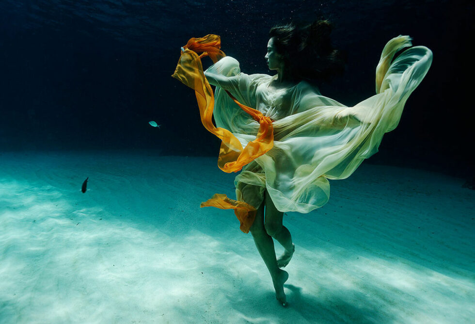 YellowKorner : Tout Savoir Sur La Galerie Fondée En 2006