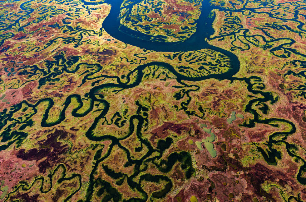 Yann Arthus-Bertrand Exposition : Découvrez "Legacy" 2020